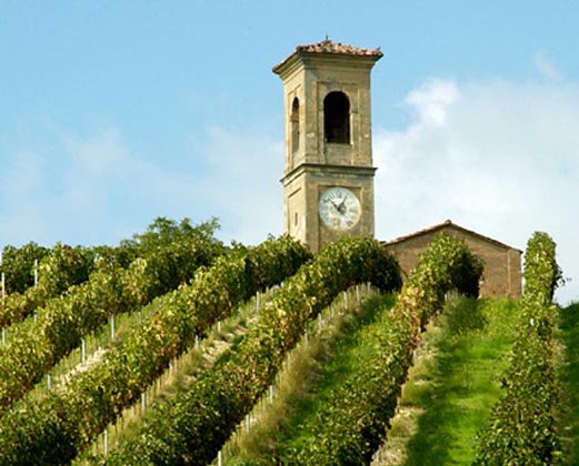 TIZZANO SOC. AGRICOLA SRL | Enoteca Emilia Romagna